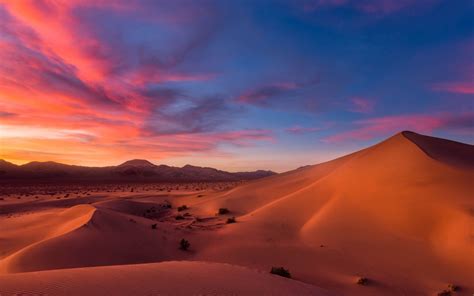 Desert Sunset Wallpapers 4k Hd Backgrounds On Wallpaperbat