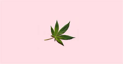 Sex And Weed The Pros And Cons Of Mixing Them Sex Toys Blog BBoutique