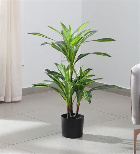 Buy Grass Green Plastic Artificial Plant At 18 Off By Arick Decor Pepperfry