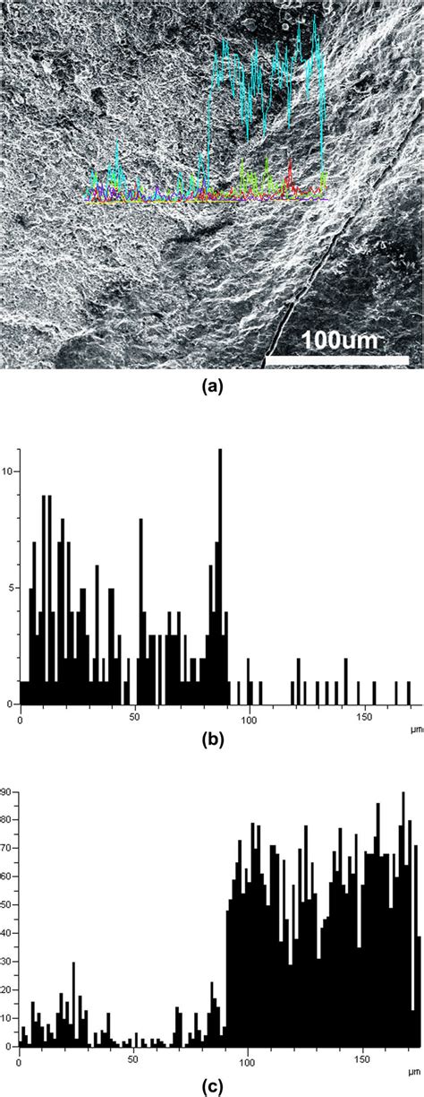 A Sem Microstructure Of Interface B Fe And C Si Alloying Download Scientific Diagram