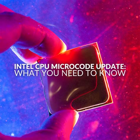 The Ultimate Guide To Motherboard And Cpu Compatibility Overclockers Uk The Ultimate Guide To Motherboard And Cpu Compatibility Overclockers Uk