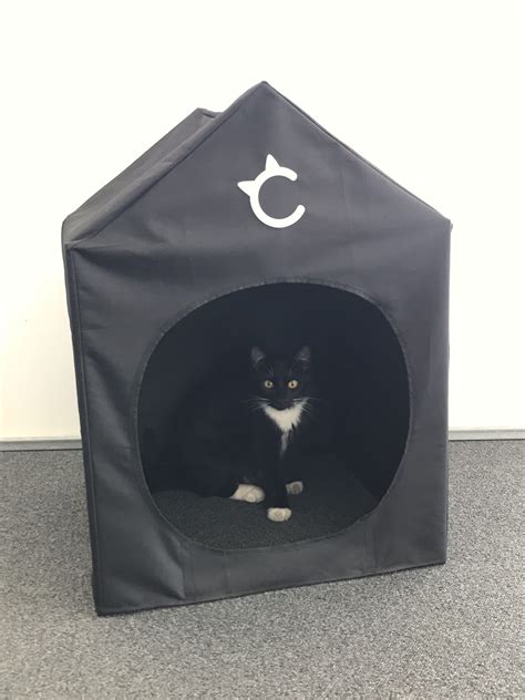 Cat Cubby Cat Runs Wa