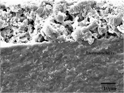Microstructure Of Cathode Electrolyte Interface In Snc Based Symmetric Download Scientific