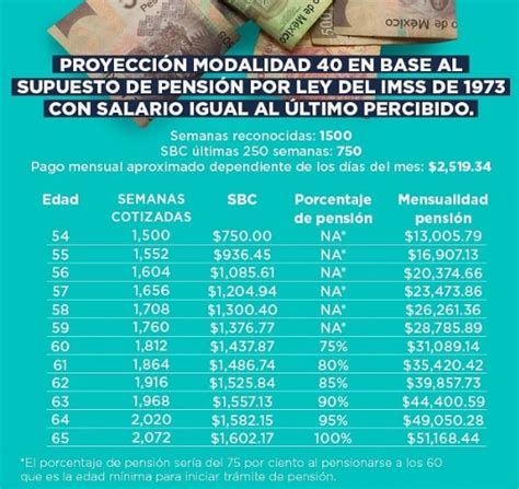 Modalidad 40 Del Imss