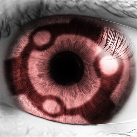 Danilo Matos Youtube