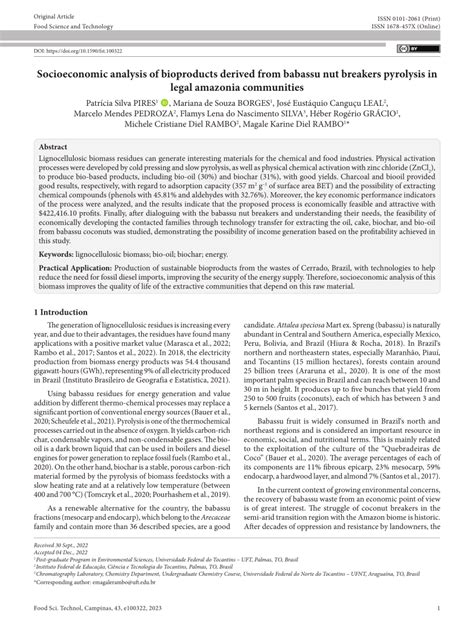 Pdf Socioeconomic Analysis Of Bioproducts Derived From Babassu Nut