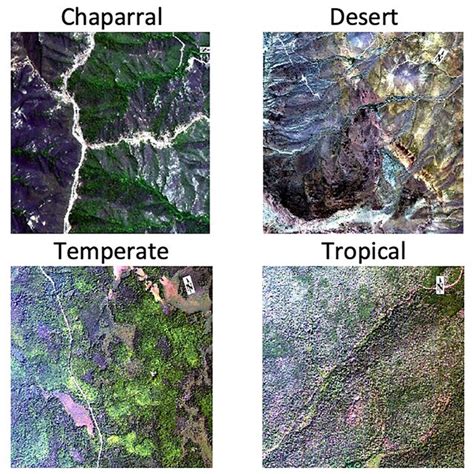 Rgb Composites Of Representative Aviris‐ng Images Download