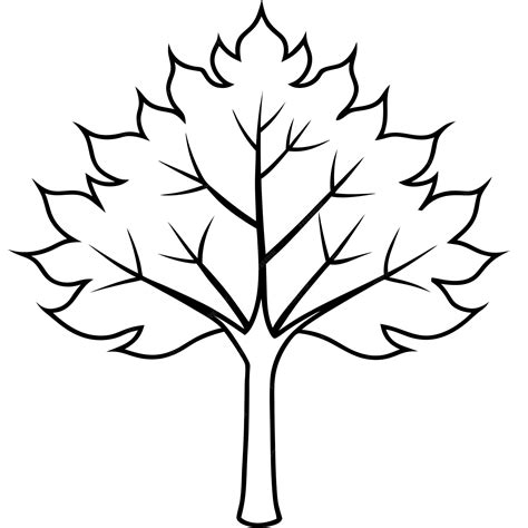 Maple Tree Outline Coloring Book Page Line Art Drawing Premium Ai