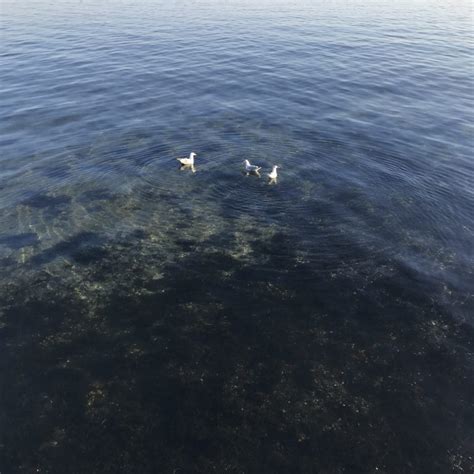 Wave Watching By Proxy Looking At How Waves Focus Light On The Sea