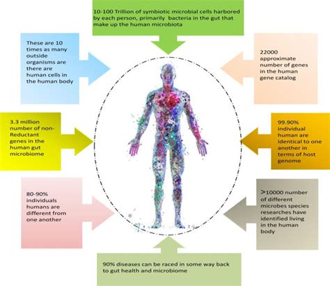 Fig 2 Representation Of The Human Associated Microbiome