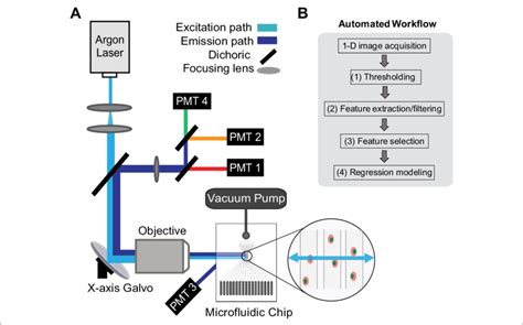 A General Schematic Of The Parallel Microfluidic Cytometer Used In