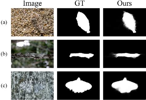 Figure From Toward Accurate Camouflaged Object Detection With In Layer Information Enhancement