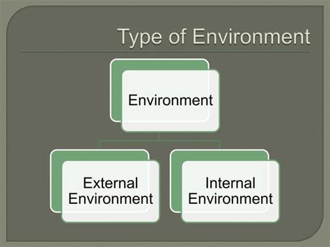 External Environmental Analysis Pptx Environmental Services