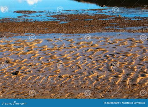 Golden Wet Sand Texture As Natural Background Banner Close Up Sandy