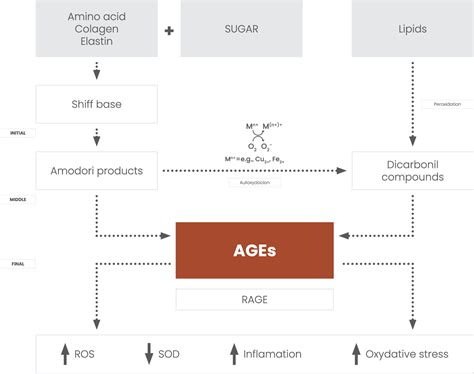 Figure 1 From Mitigating Glycation And Oxidative Stress In Aesthetic