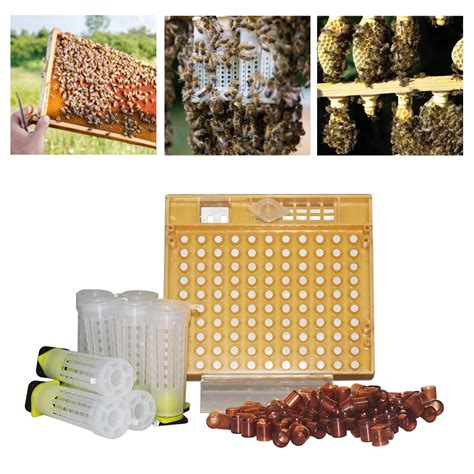 Nicot Bee Queen Rearing Kit Goods Tools For Beekee Grandado