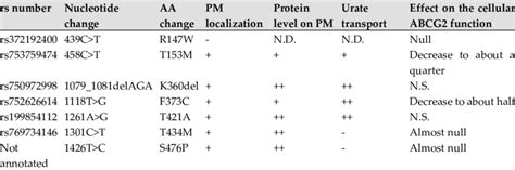 Summary Of The Effects Of Each Mutation On Abcg2 Protein And Its