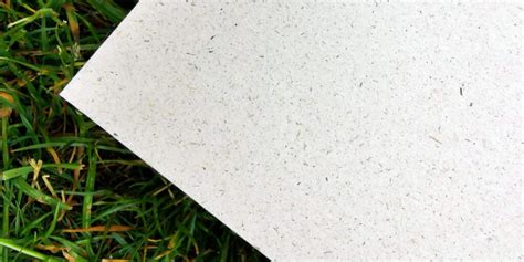 Paper Sustainability Is Paper Eco Friendly