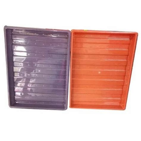 Plastic Wheat Grass Tray At ₹ 170piece In New Delhi Id 7412656091