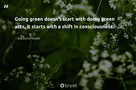 77 Green Quotes Inspiring Renewal And Conservation