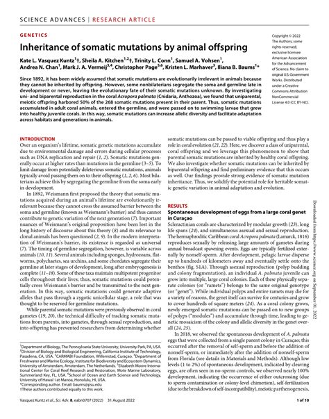 Pdf Inheritance Of Somatic Mutations By Animal Offspring