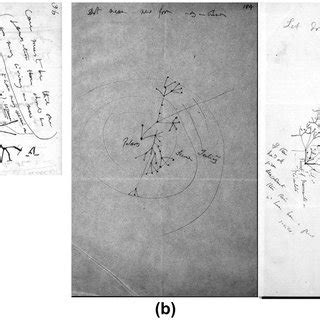 Charles Darwin Tree Of Life Diagram From The Origin Of Species Download Scientific Diagram