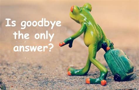 Dr Thomas Heyn On Linkedin If This Is Your Reality Right Now What Do You Do