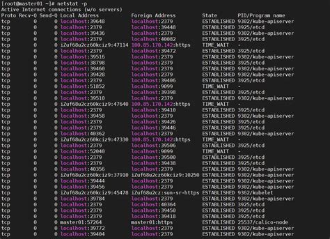 Linux运维工程师必知：如何在 Linux 中使用网络命令netstat？ 阿里云开发者社区