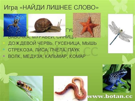Презентация по окружающему миру 3 класс 21 век тема: Беспозвоночные ...