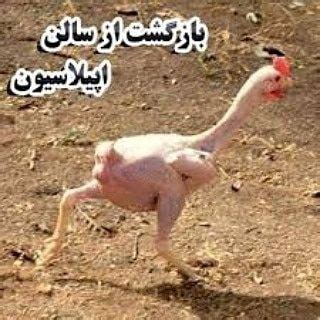 Likes Comments Maryam On Instagram