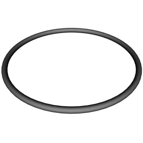 Hayward Super Ii Pump Strainer Cover O Ring Spx3000s Pool Goods