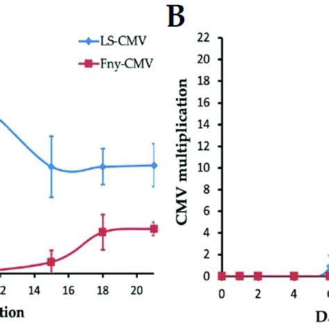Time Course Of Cmv Multiplication In Co 1 Cmv Multiplication Is
