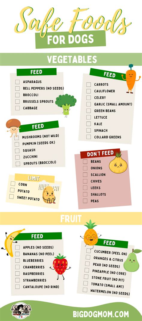 Can Dogs Eat Vegetables Why My Dogs Do And How I Feed Them