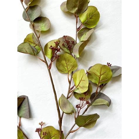 Faux Seeded Eucalyptus Stem Designedby The Boss