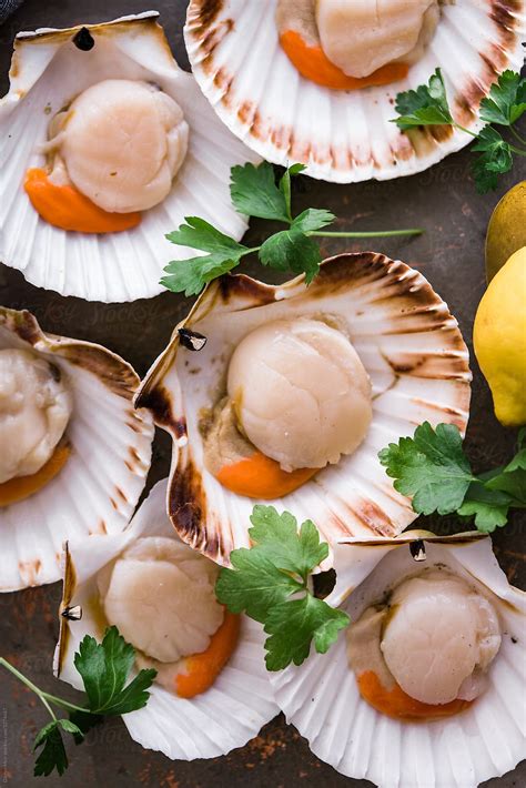 Raw Scallops In Shell