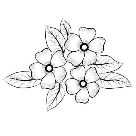 Simple Flower Line Art 1 000 Simple Line Art Flowers Pictures Skrw
