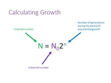 Bacterial Cell Characteristics Flashcards Quizlet