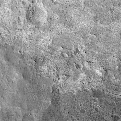 Amy Williams The Planetary Society