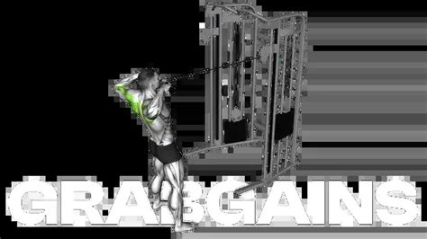 Cable Standing Face Pull With Rope Proper Form And Grabgains