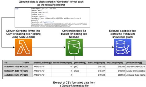 Building A Biological Knowledge Graph At Pendulum Using Amazon Neptune