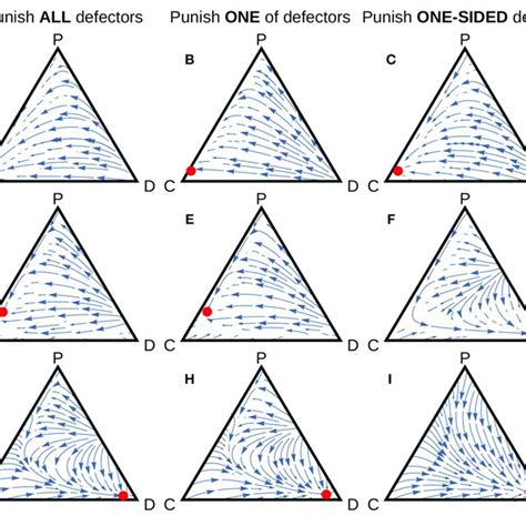 The Replicator Mutator Dynamics Of Cooperators C Defectors D