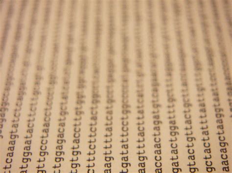 A Global Alliance For Genomic Data Sharing Center For Data Innovation