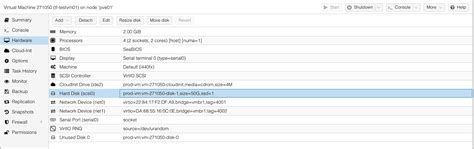 BUG Resizing Disk Issue Issue Telmate Terraform Provider Proxmox GitHub