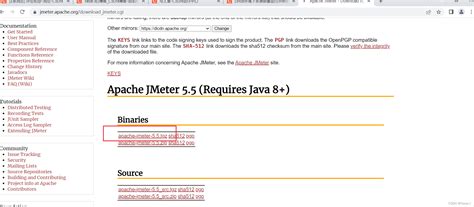 Linux下安装jmeter怎样在linux环境安装jmeter Csdn博客