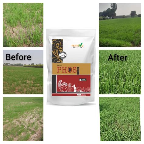 Results After 10 Days Of Application Adeel Ch