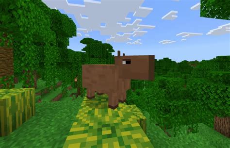 Capybaras Mod Mods Minecraft Bedrock