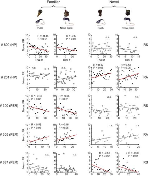 Rhythmic Pruning Of Perceptual Noise For Object Representation In The Hippocampus And Perirhinal
