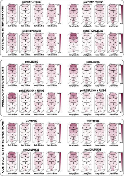 Temporal Distribution Of The Segmental Left Ventricular Download