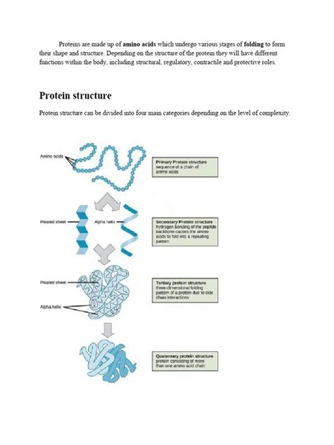 14 Protein Structure And Function Pdf Protein Structure