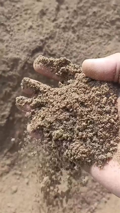 Palm Kernel Expeller Inaexport